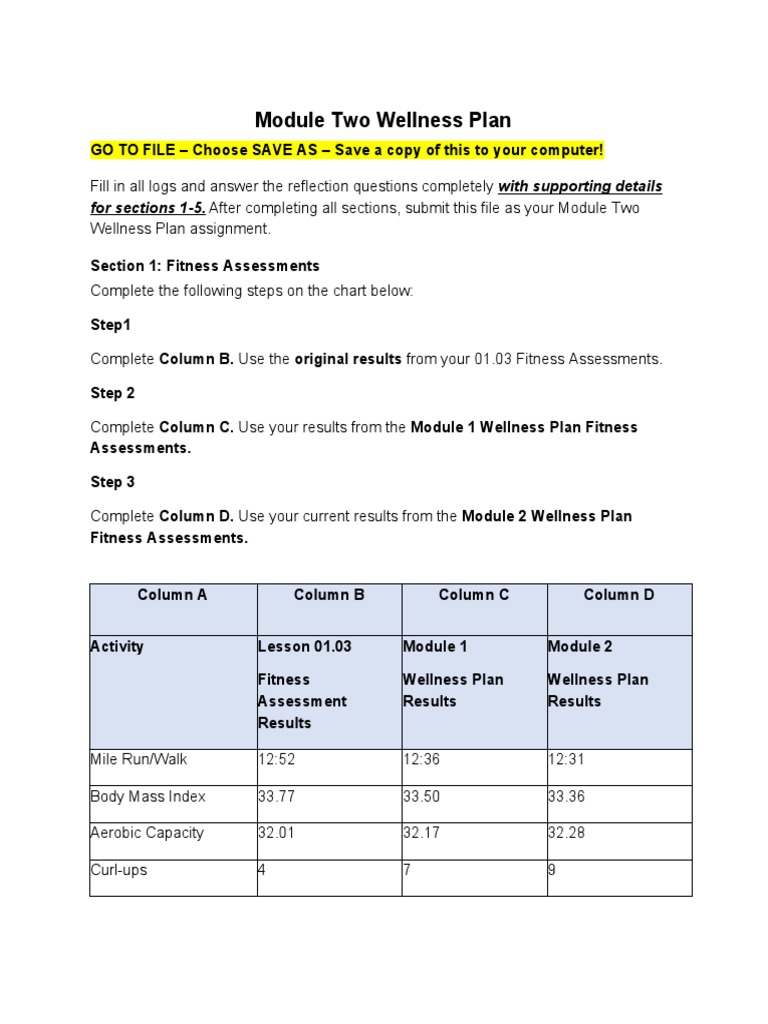 Wellness Plan Module 2.08 | PDF