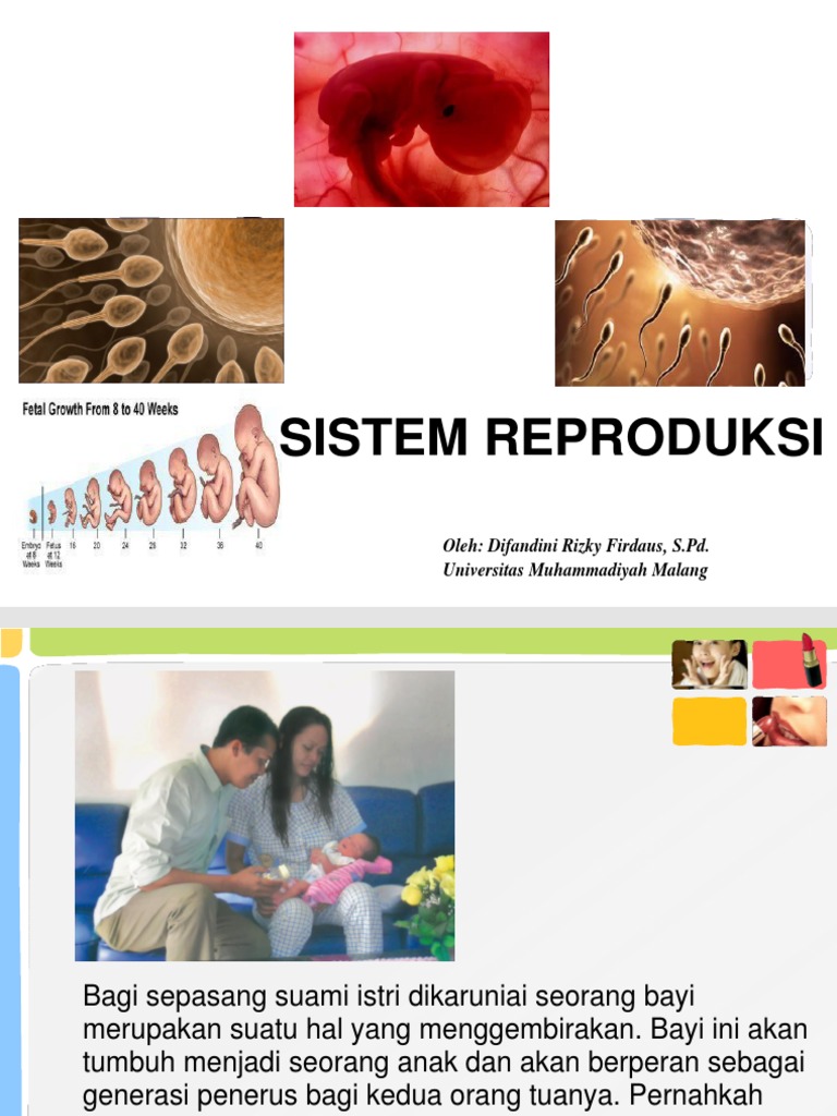 Bahan Ajar Sistem Reproduksi | PDF