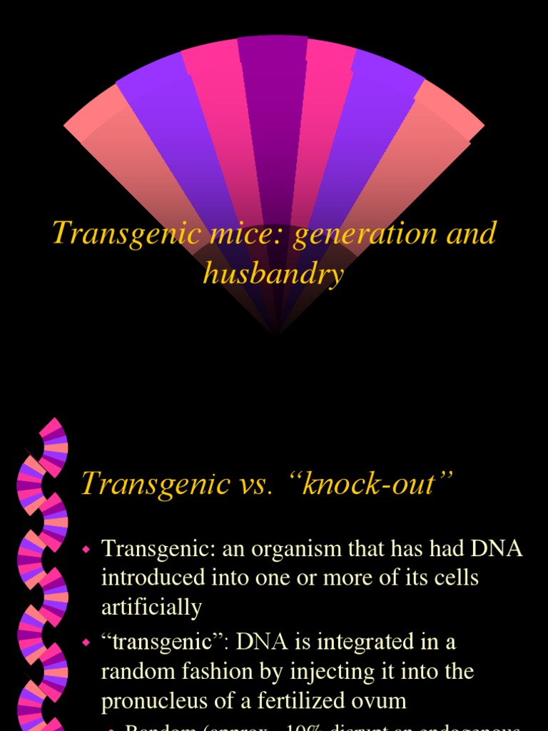 Transgenic Animals 4 | PDF | Transgene | Gene Knockout
