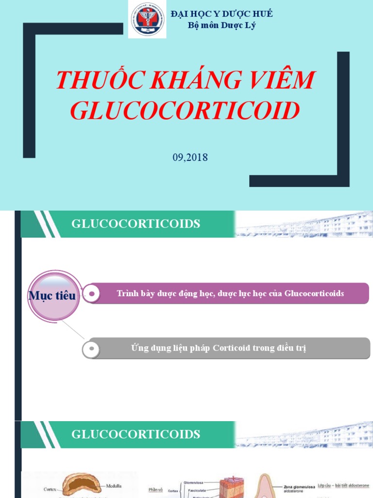 Glucocorticoid | PDF