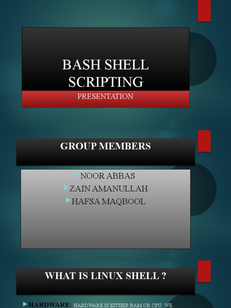 Bash Shell Scripting Pdf Software Engineering Computer Architecture