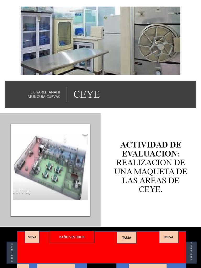 10 Ceye | PDF | Esterilización (Microbiología) | Química
