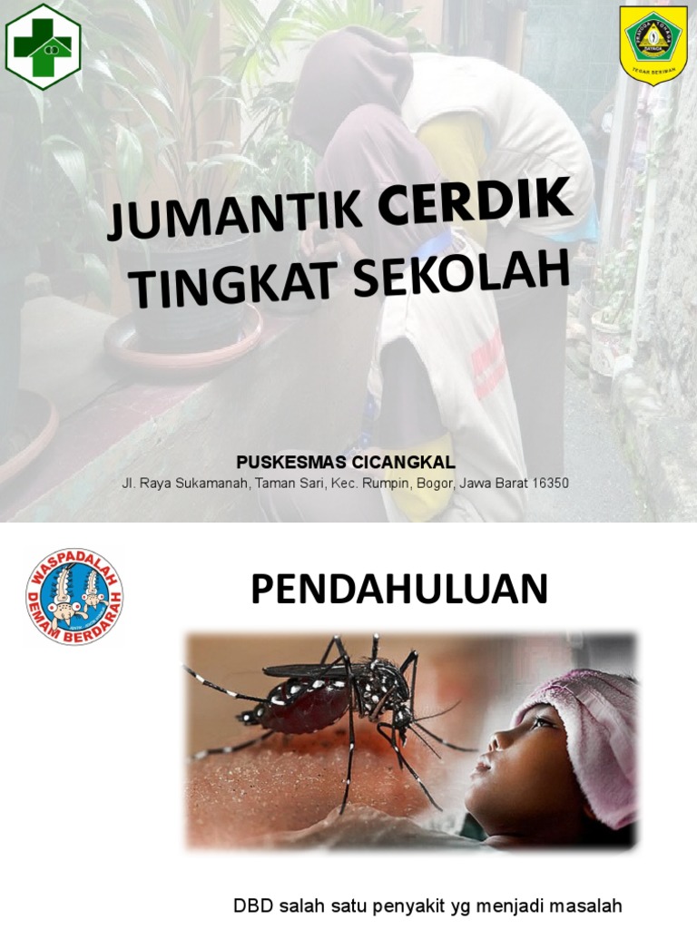 JUMANTIK CERDIK TINGKAT TINGKAT SEKOLAH | PDF