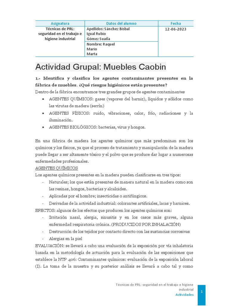 Caso Grupal Muebles Caobin | PDF