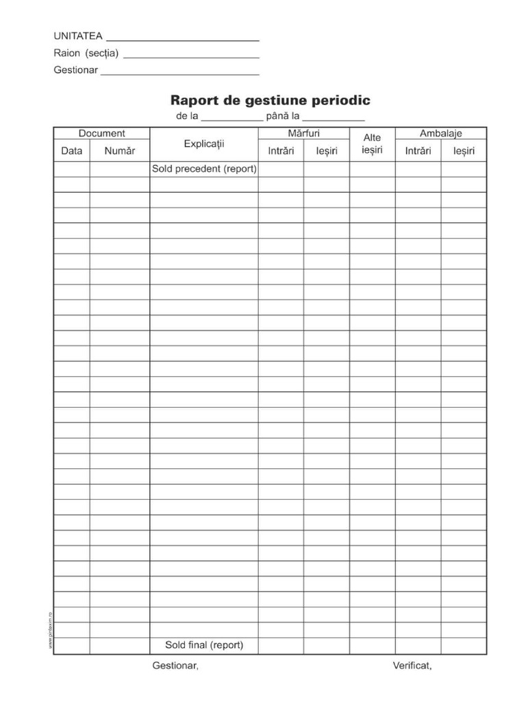 Raport de Gestiune Periodic | PDF