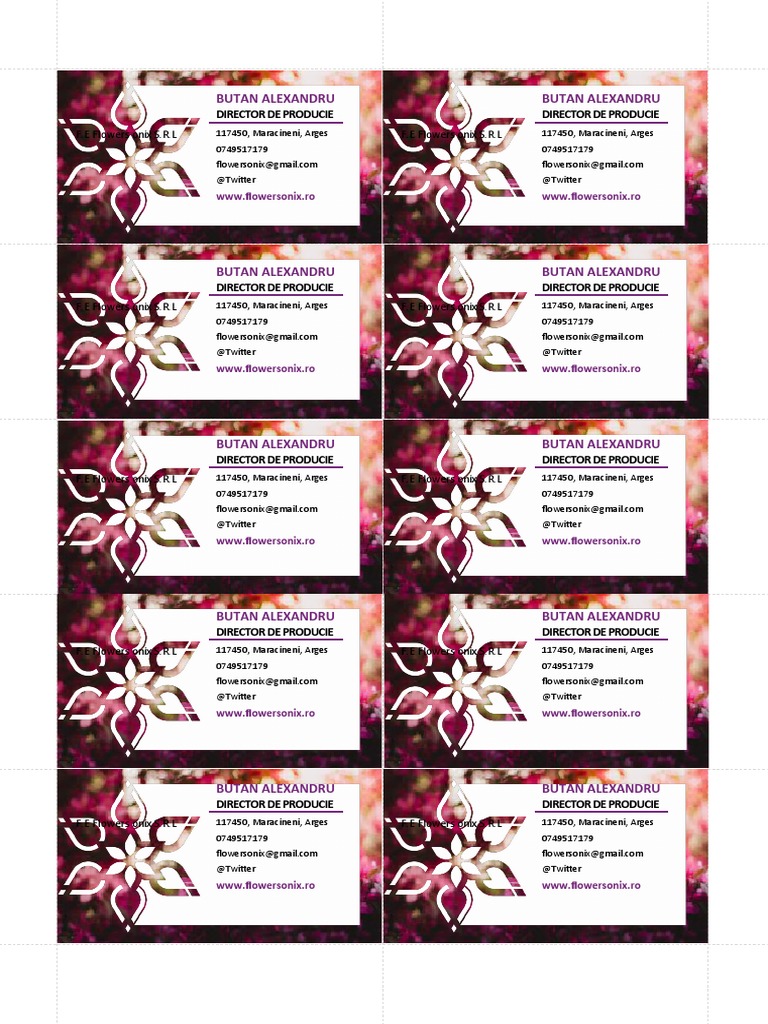 BUTAN ALEXANDRU Carte de Vizita | PDF