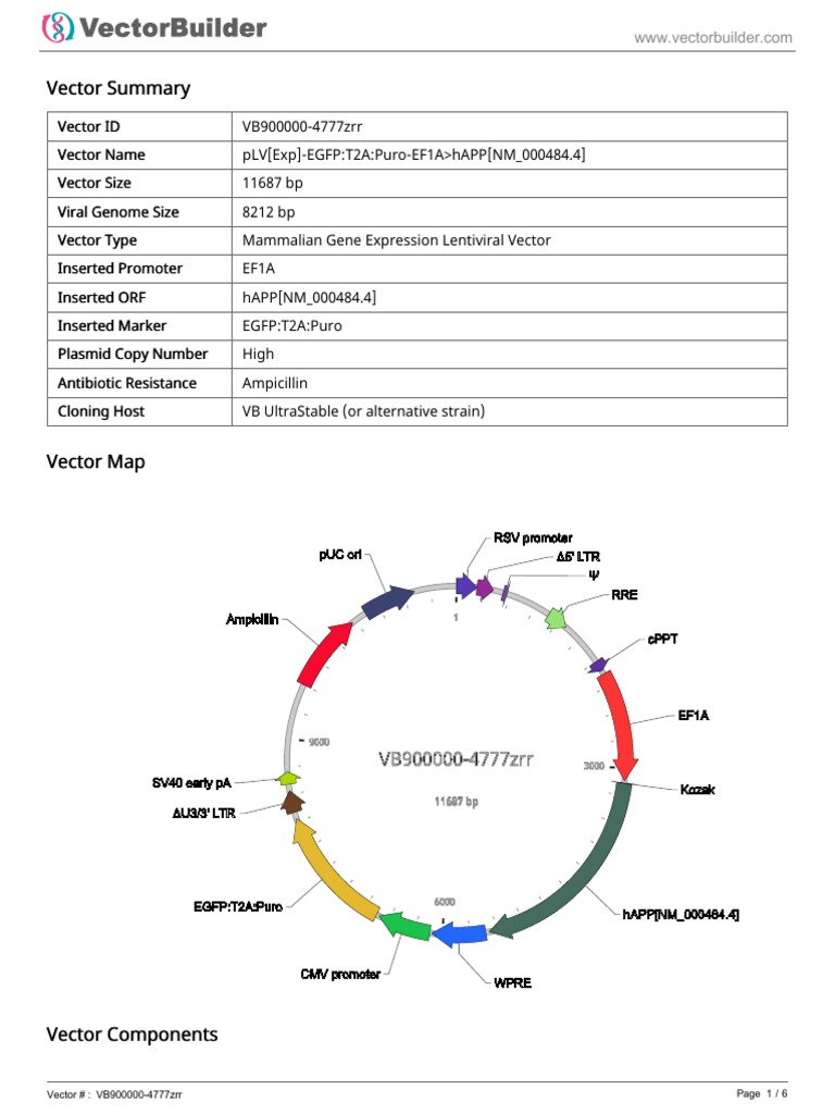 Lentiviral Vector App | PDF | Vector (Molecular Biology) | Promoter (Genetics)