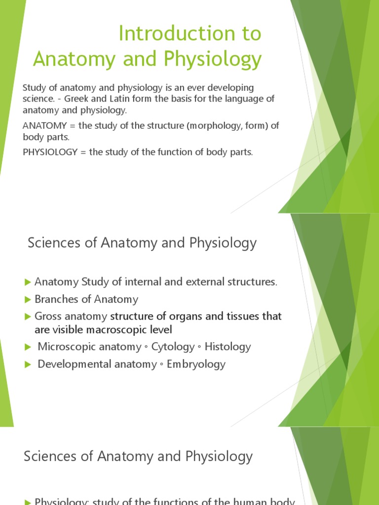 Anatomy & Physiology Basics Guide | PDF | Human Body | Anatomical Terms Of Location
