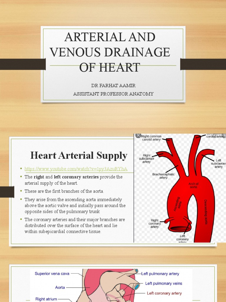Arterial and Venous Drainage of Heart | PDF