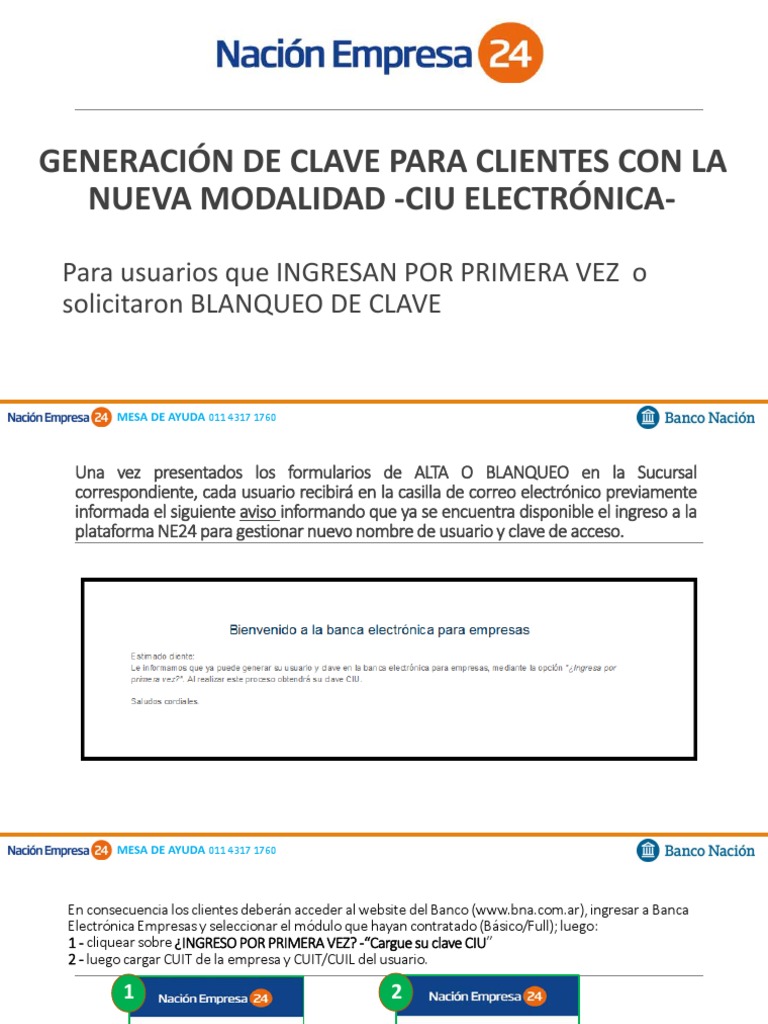 Manual - Ingreso Con CIU Electronica | PDF | Software | Comunicación