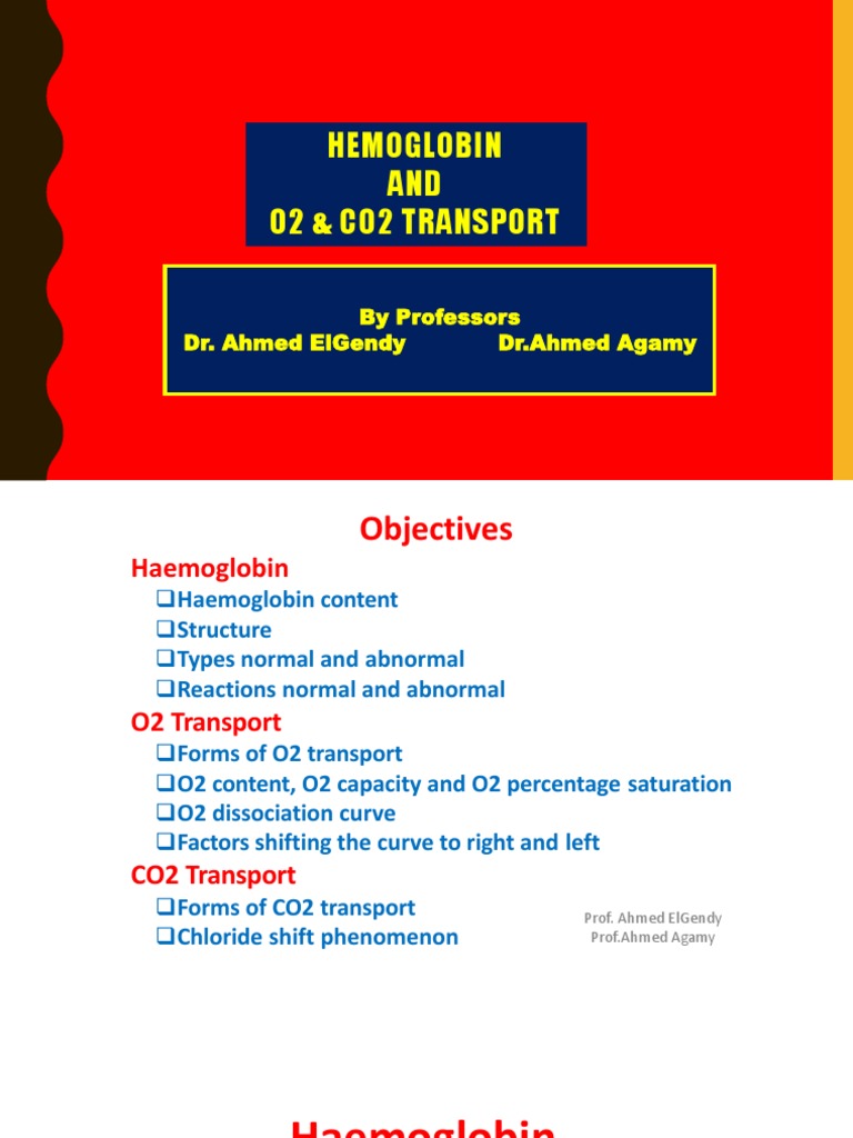 Haemoglobin and O2 CO2 Transport | PDF | Hemoglobin | Red Blood Cell