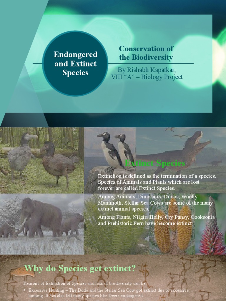 Rishabh VK - Biology Project - Biodiverity - 8A | PDF | Endangered ...