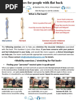 Lower-Nerve Flossing | PDF | Anatomical Terms Of Motion | Knee