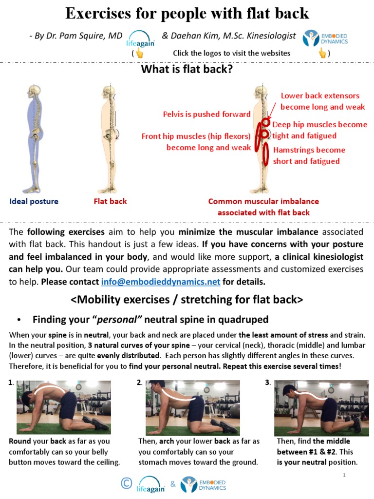 Exercises for Flat Back Syndrome | PDF