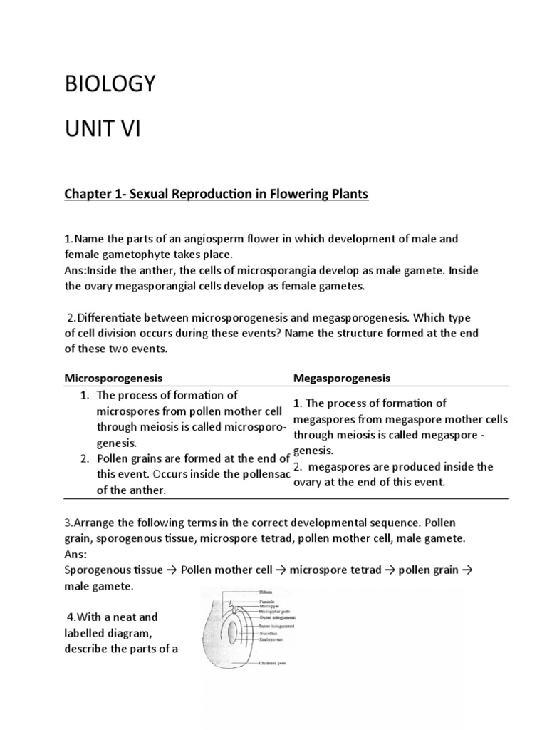 Biology 2 Puc | PDF | Menstrual Cycle | Flowers