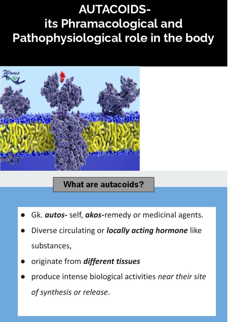 Slides AUTACOIDS | PDF | Serotonin | Acetylcholine