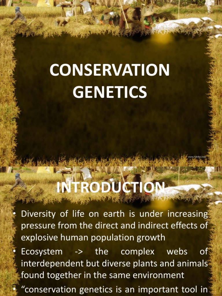 Conservation Genetics | Inbreeding | Population