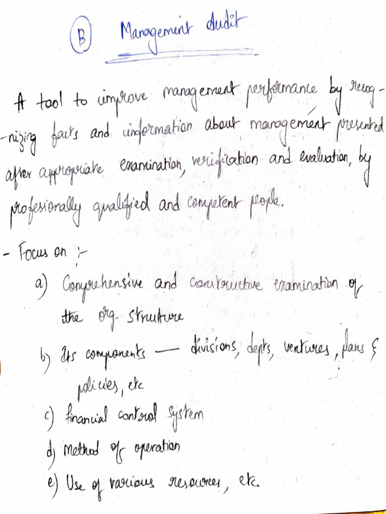 Management Audit Notes | PDF