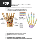 Articulación de Los Dedos | PDF | Codo | Sistema musculoesquelético