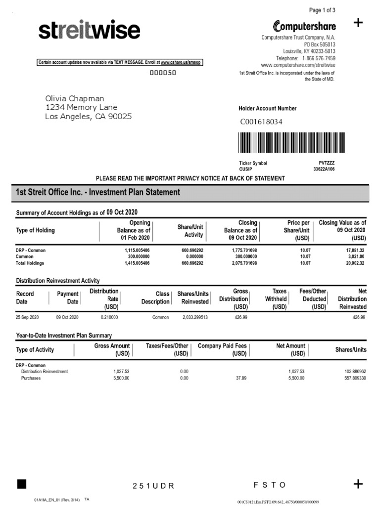 Sample Account Statement | PDF