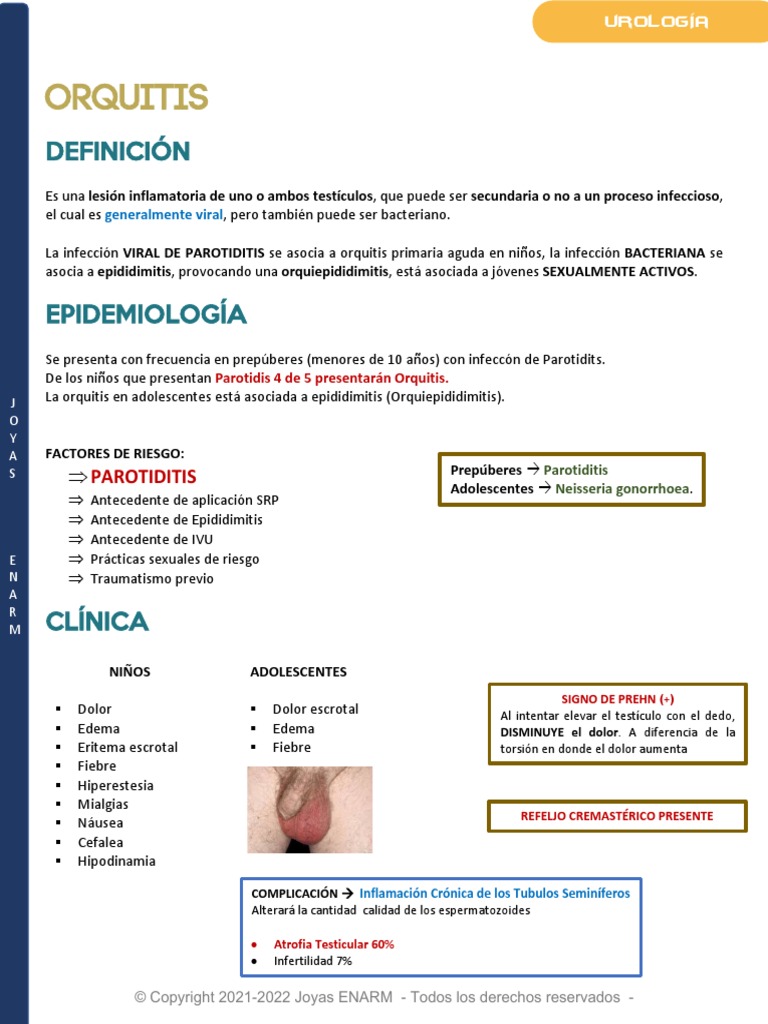 10. Orquitis | PDF