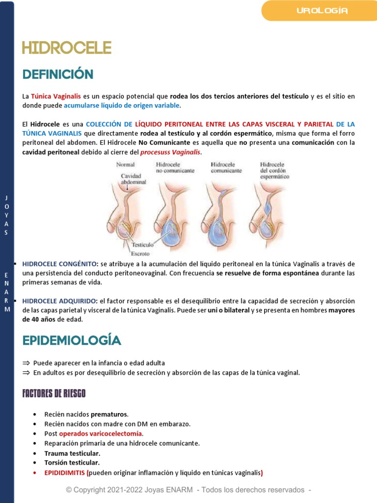 Hidrocele | PDF