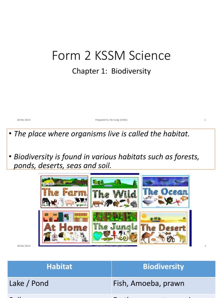 C1 Biodiversity 2023 2AE | PDF | Invertebrate | Egg