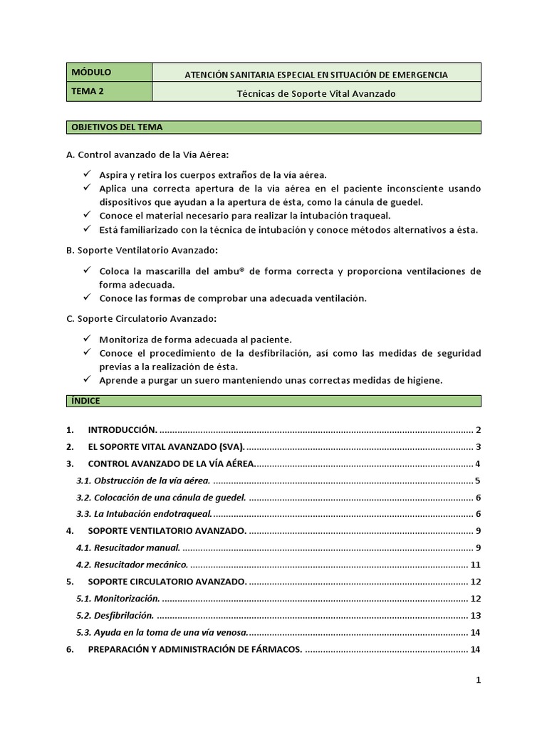 Tema 2 Aea | PDF