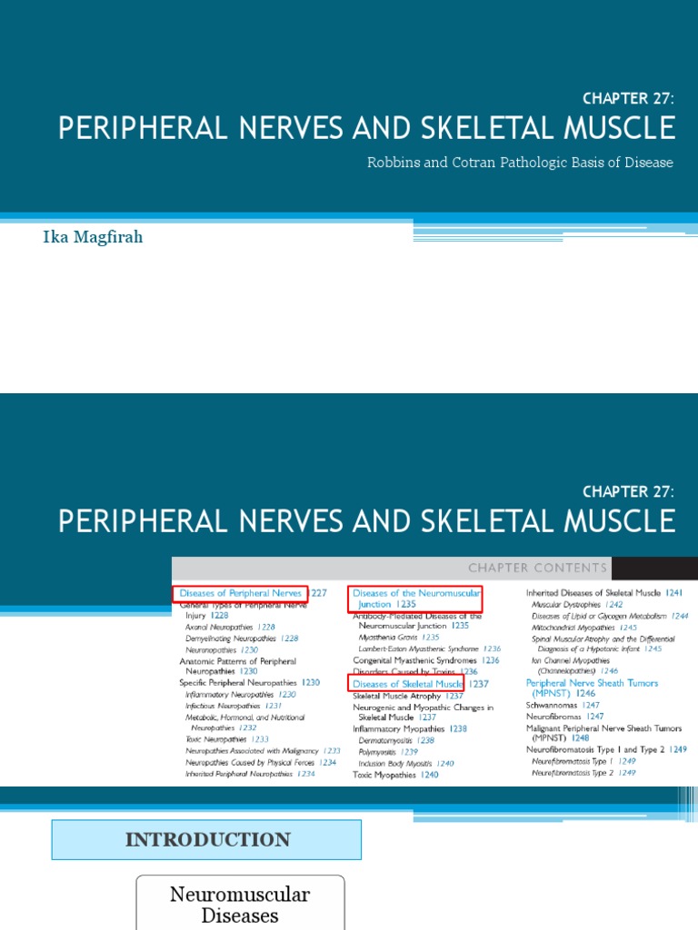PNS Part 1 - Peripheral Nerves Diseases | PDF