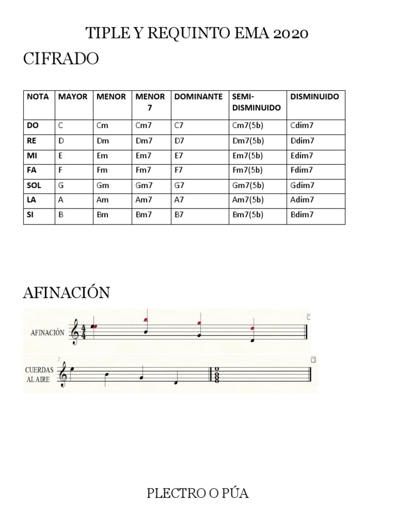 EJERCICIOS Y CIFRADO TIPLE Y REQUINTO | PDF