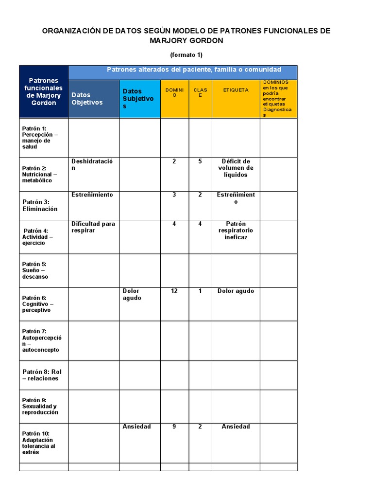 Organización de Datos Según Modelo de Patrones Funcionales de Marjory ...