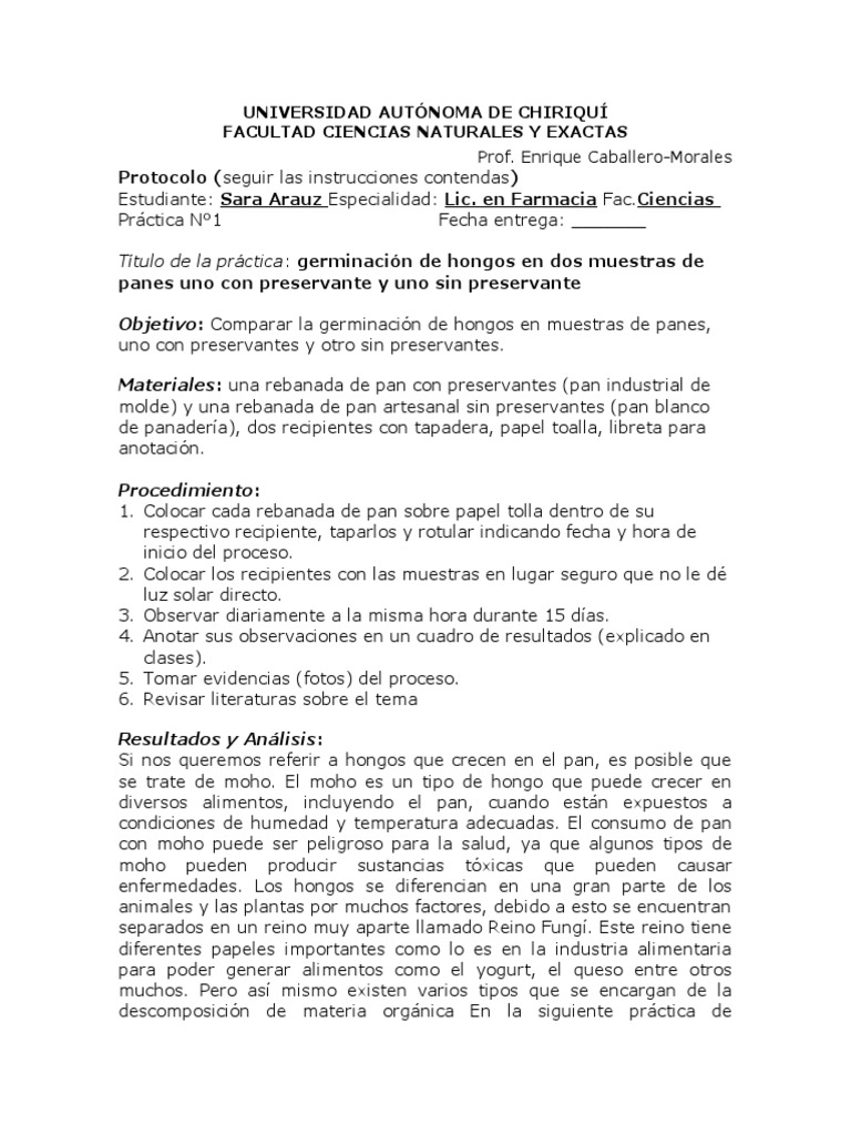 PROTOCOLO PRACTICA Sara Arauz | PDF