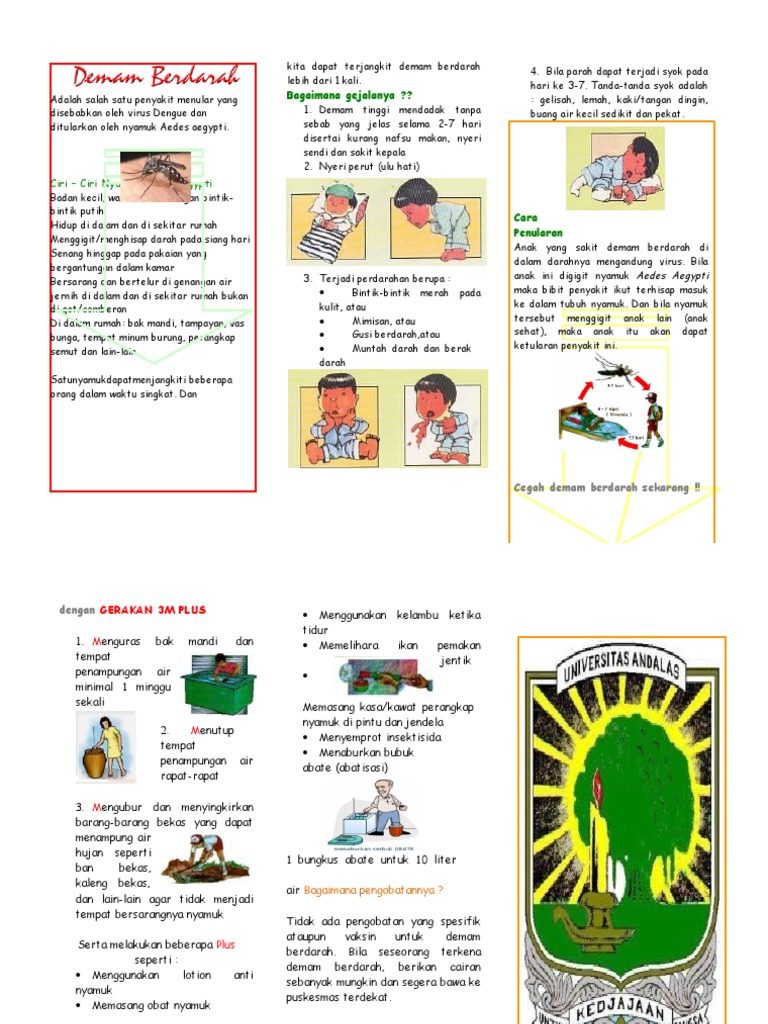 Leaflet DBD | PDF