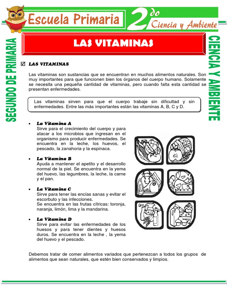 Las Vitaminas | PDF | Alimentos | Vitamina