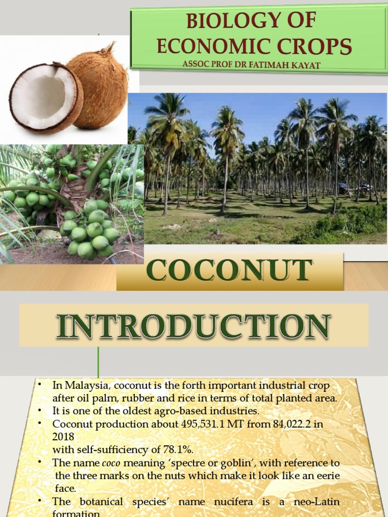Coconut | PDF