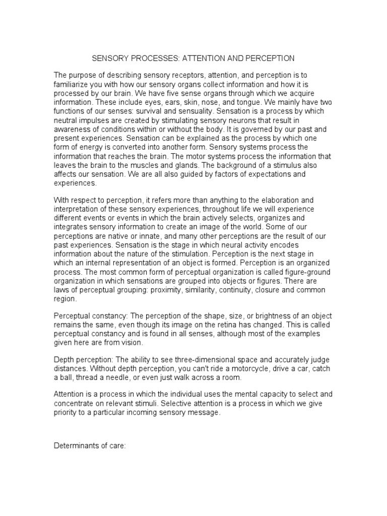 Sensory Processes | PDF | Perception | Senses