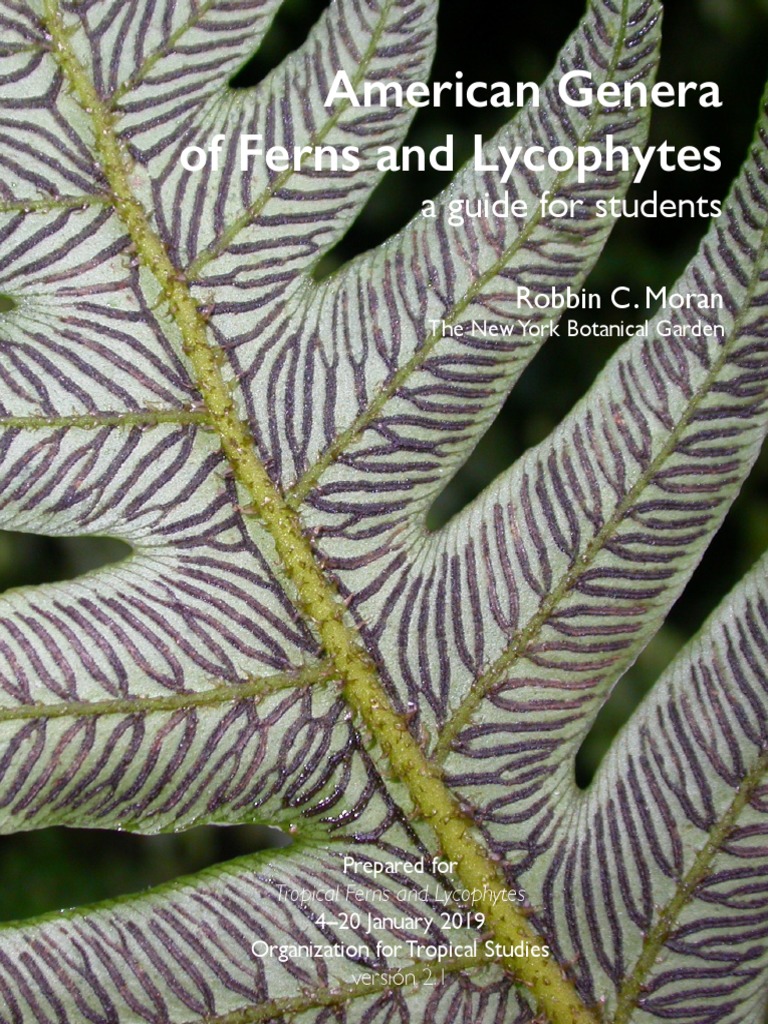 Moran 2019. Fern Guide | PDF | Fern | Plants