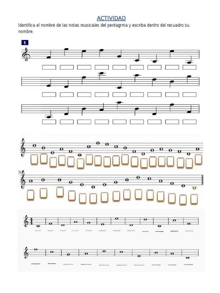 Actividad - Identificando Notas en El Pentagrama | PDF