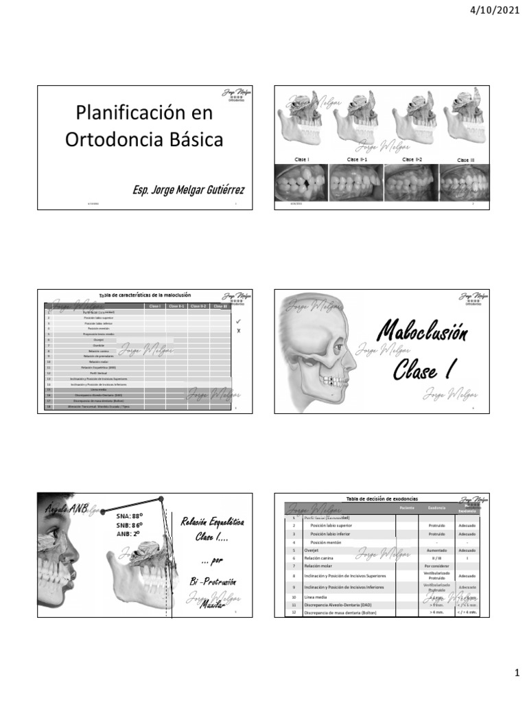 Planificación Orto Basica - Imprimir | PDF