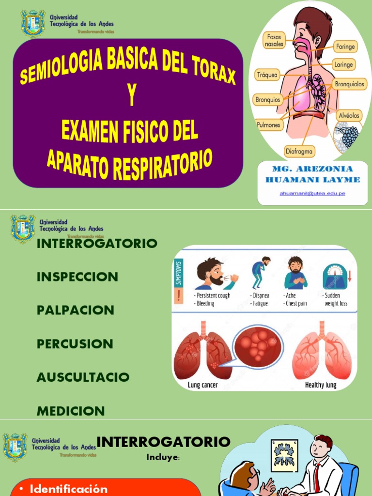 Semiologia Basica Del Torax y Examen Fisico Del Aparato Respiratorio ...