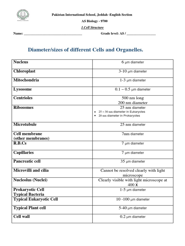 Cell and Organelle Sizes Guide | PDF | Science & Mathematics