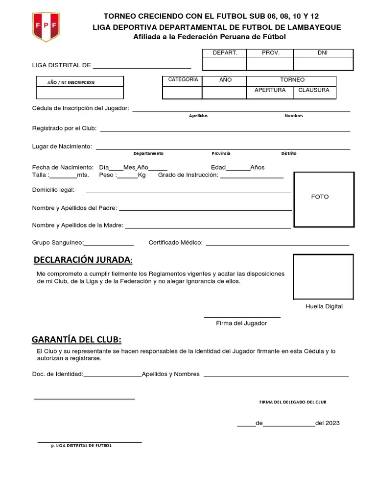 FORMATOS CCF-1 | PDF