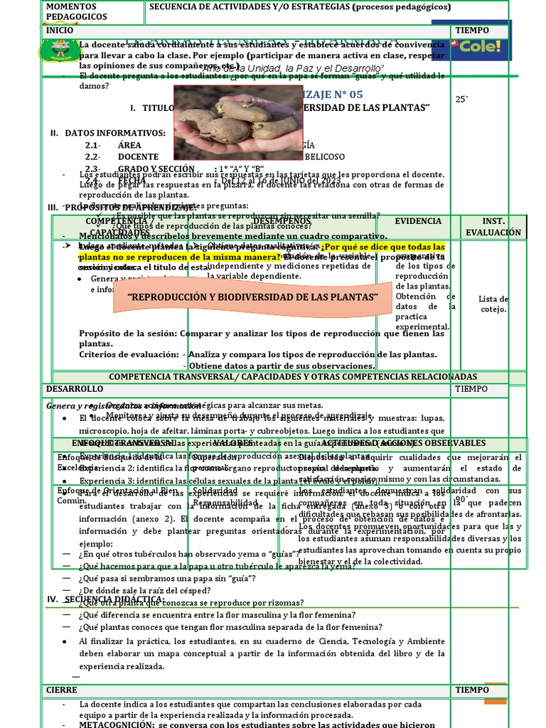 Sesion 5 - U3 - Cyt - 1° A - B | PDF