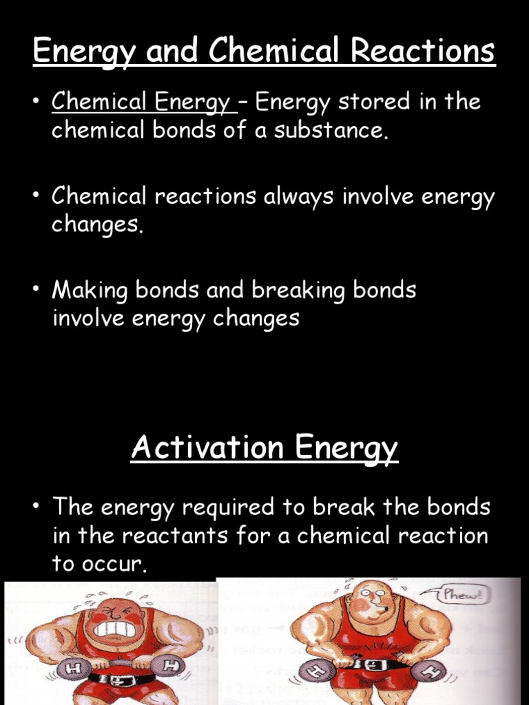 Endo and Exo | PDF | Chemical Reactions | Combustion
