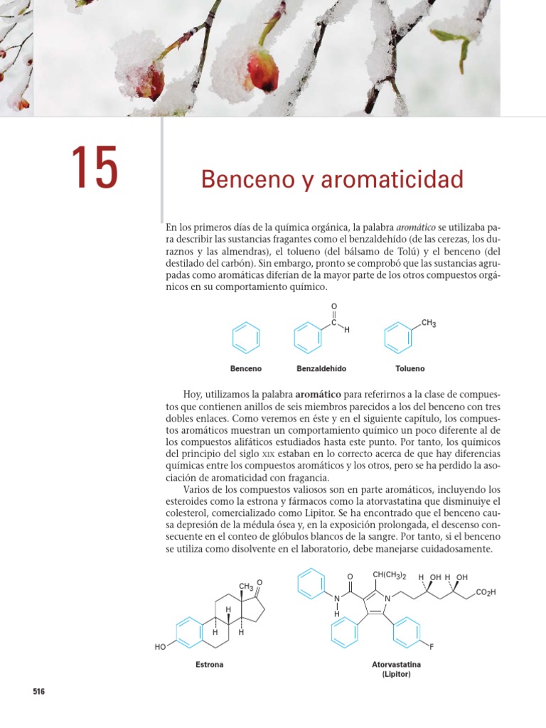 Benceno y Aromaticidad Parte 1 | PDF | Aromaterapia | Enlace químico