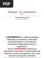 Metameria: Segmentação em Animais | PDF