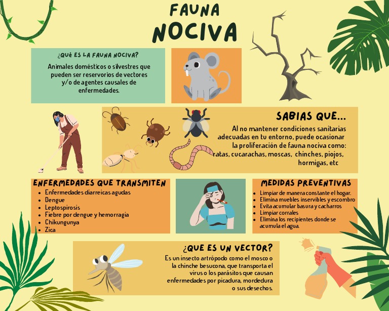 ¿Qué Es La Fauna Nociva | PDF
