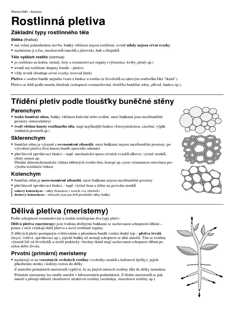 2bot 01 Pletiva | PDF