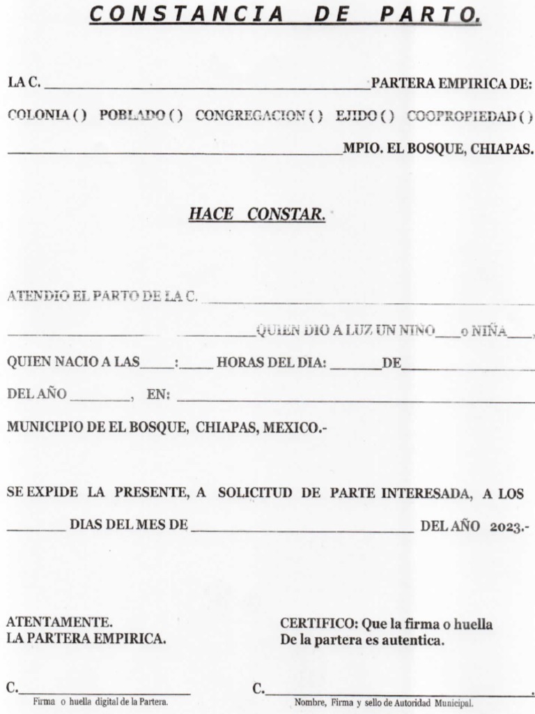 constancia de parto | PDF