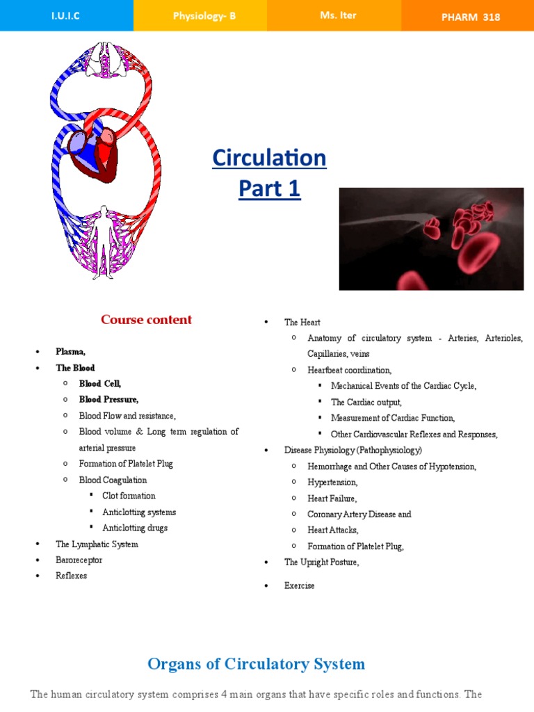 Topic 3 - CIrculation Part 1 - BLOOD | PDF